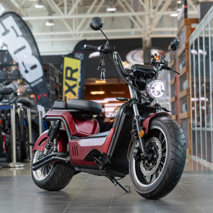 EcoMoto Premium Lion E3900W RED Edition купить в Москве - Цена, Характеристики | Магазин EcoMoto